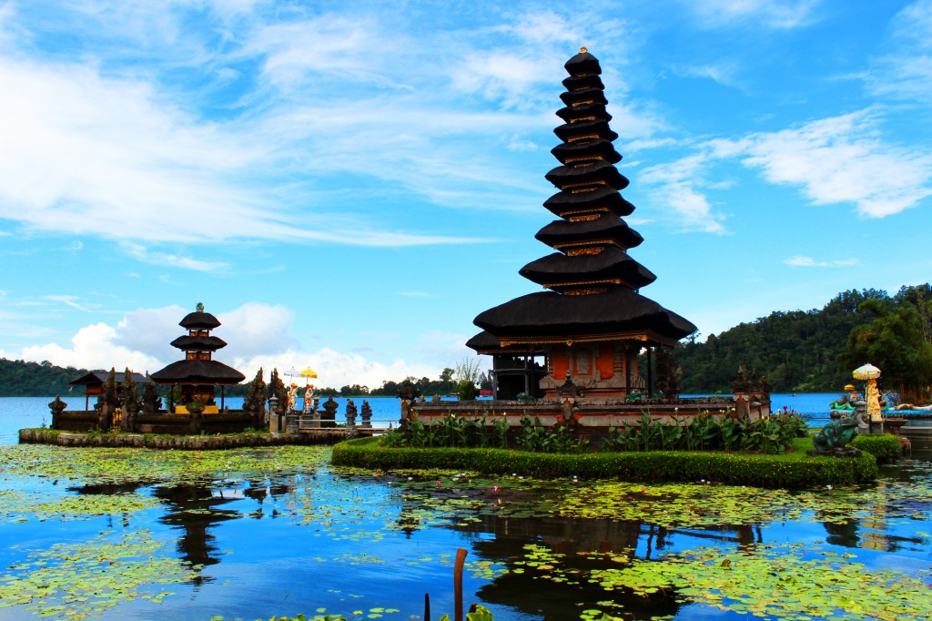 Bali v. America – Woof Magazine
